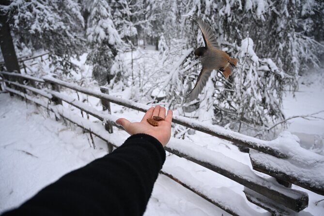 Rovaniemi: Korouoma Frozen Waterfalls Hike with Hot BBQ Lunch - The Value: What Makes This Tour Stand Out