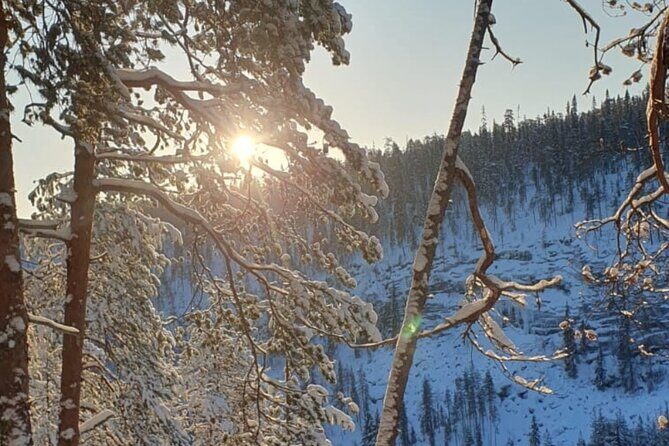 Rovaniemi: Korouoma Frozen Waterfalls Hike with Hot BBQ Lunch - Who Will Love This Tour?