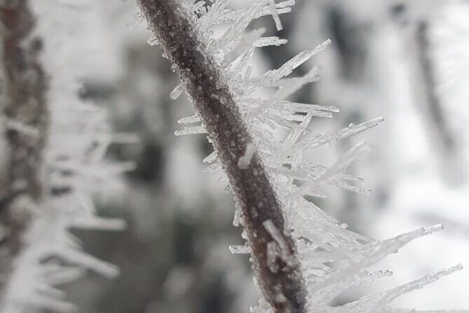 Rovaniemi: Korouoma Frozen Waterfalls Hike with Hot BBQ Lunch - Frequently Asked Questions