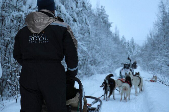 Rovaniemi Lapland Husky Experience 5km - Key Points