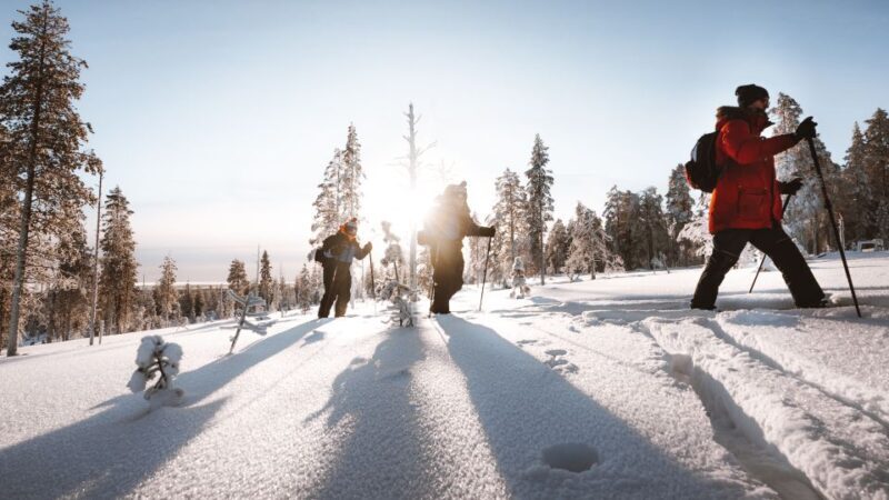 Rovaniemi: Lapland Ski Trekking Safari - Rovaniemi: Lapland Ski Trekking Safari – An Authentic Arctic Adventure