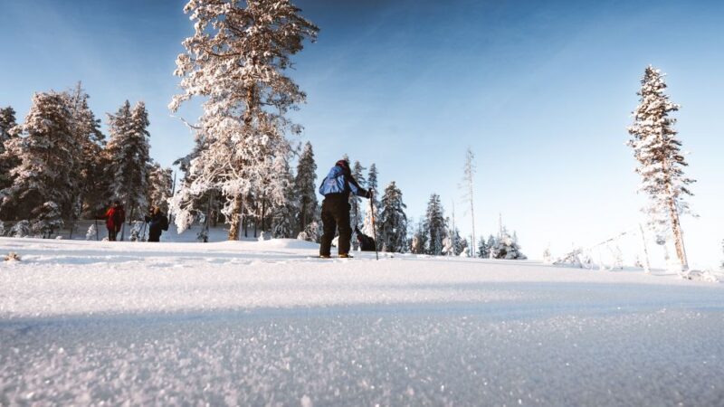 Rovaniemi: Lapland Ski Trekking Safari - The Sum Up: Who Is This Tour Best For?