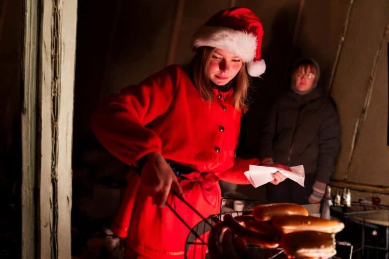 Rovaniemi: Meet Santa Claus & Northern Lights Experience - Practical Tips for the Tour