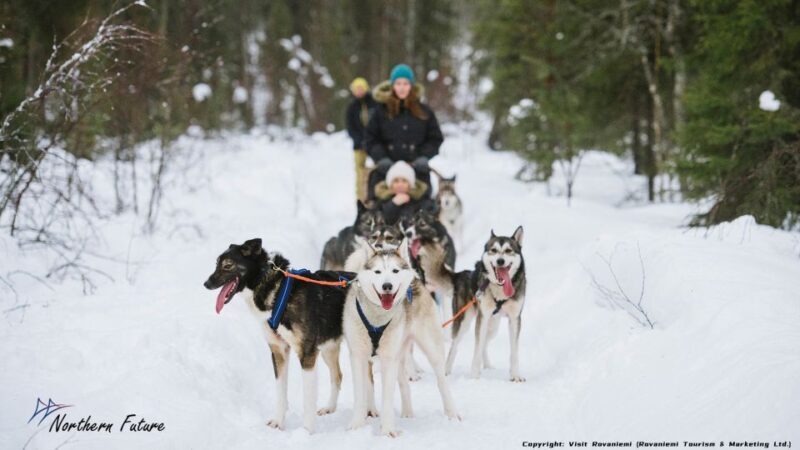 Rovaniemi: Meet Santa Claus, Reindeer Sleigh Ride & Huskies - The Itinerary in Detail