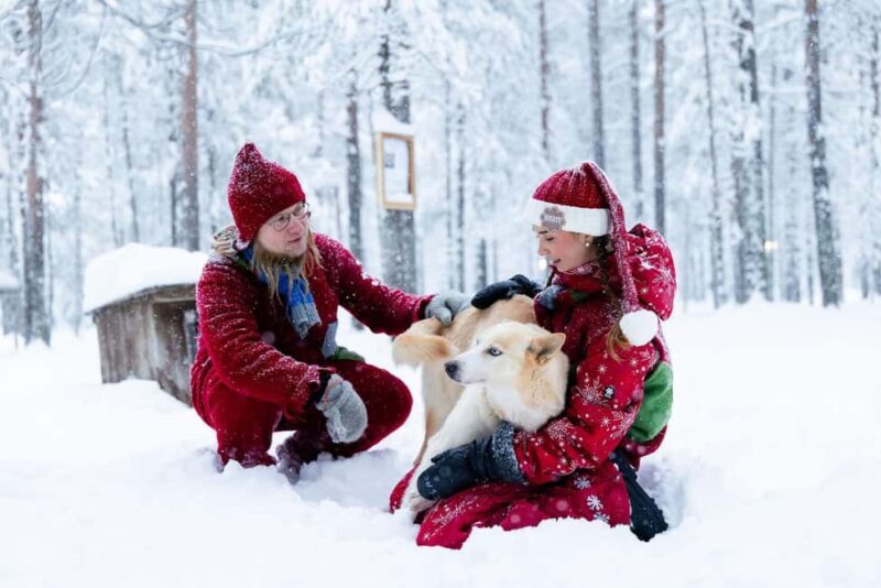 Rovaniemi: Meet Santa's Most Trusted Husky Dogs - Key Points