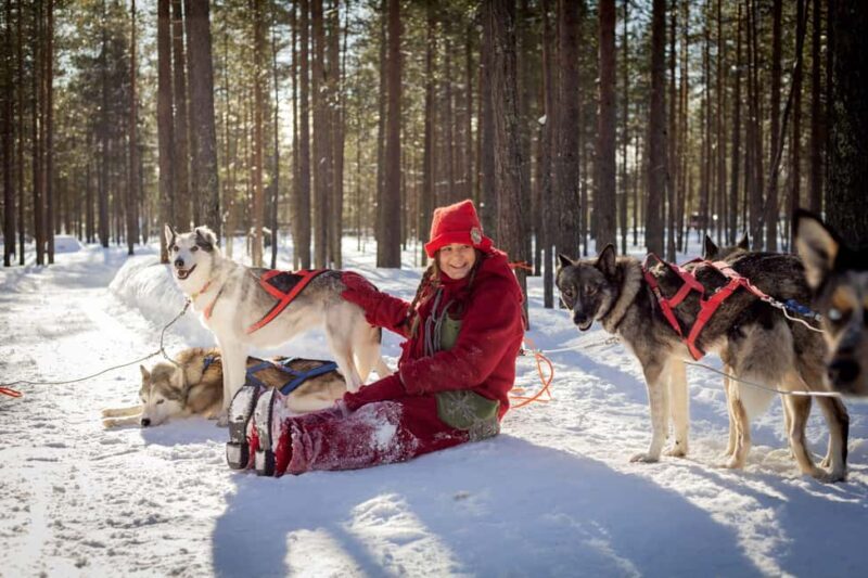 Rovaniemi: Meet Santa's Most Trusted Husky Dogs - Introduction: An Authentic Arctic Encounter