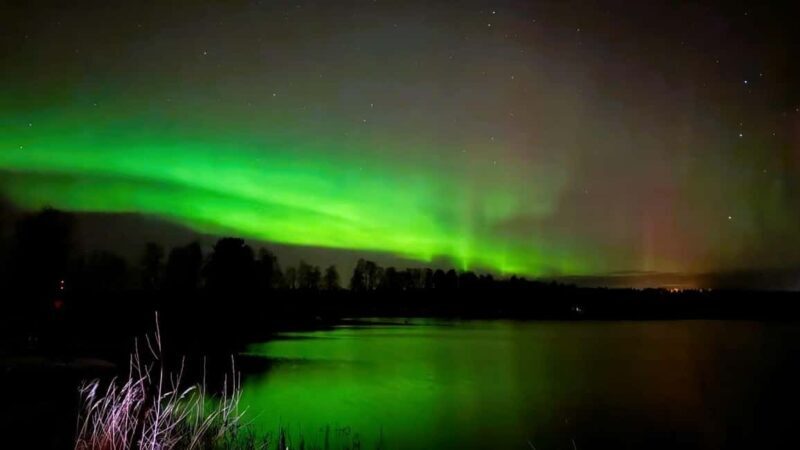 Rovaniemi: Night Tour in Search of the Aurora with BBQ - Key Points
