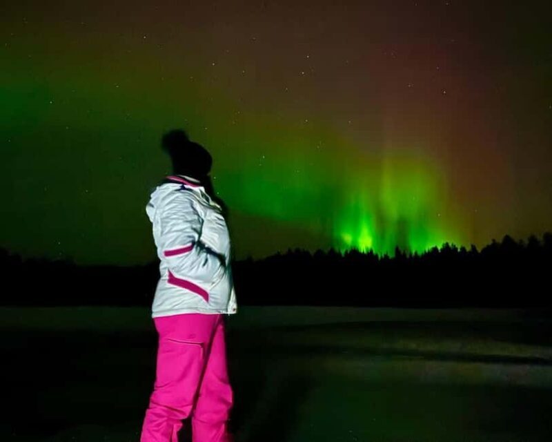 Rovaniemi: Night Tour in Search of the Aurora with BBQ - Who Will Love This Tour?