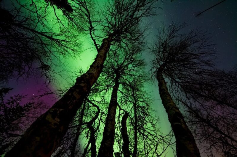 Rovaniemi: Northern Light Hunt Tour with ProCamera - FAQ
