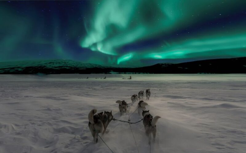 Rovaniemi: Northern Lights and Husky Sleigh Ride - The Itinerary in Detail: What to Expect