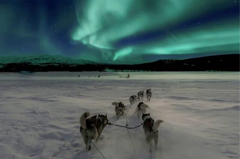 Rovaniemi: Northern Lights and Husky Sleigh Ride - Practical Tips for Your Tour