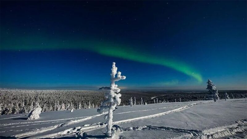 Rovaniemi: Northern Lights and Husky Sleigh Ride - FAQ