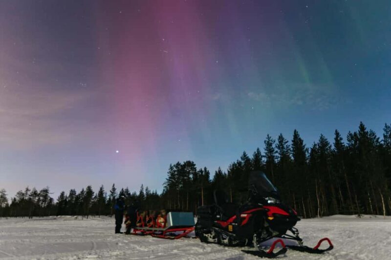 Rovaniemi: Northern Lights Family-Friendly Snowmobile Safari - Key Points