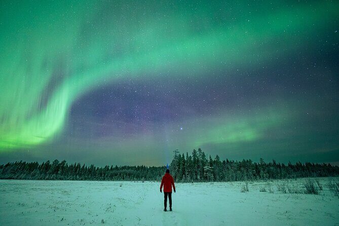 Rovaniemi Northern Lights Hunt With A Professional Photographer - Possible Drawbacks or Considerations