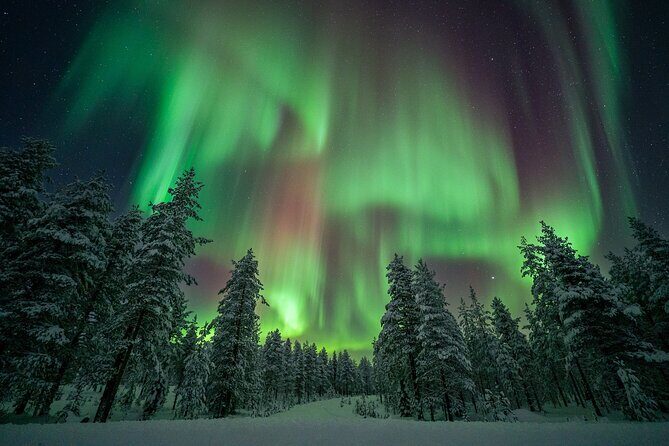 Rovaniemi Northern Lights Hunt With A Professional Photographer - Who Would Love This Tour?