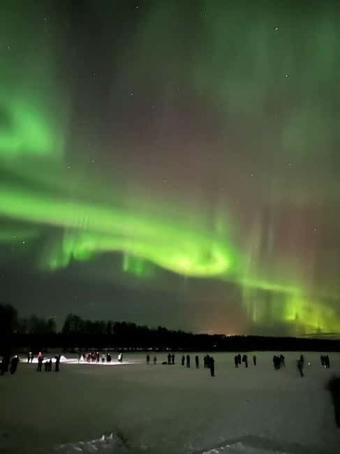 Rovaniemi: Northern Lights Hunters. Aurora + BBQ - The Sum Up: Who Will Love This Tour?