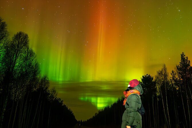 Rovaniemi: Northern Lights Hunting and Photography Tour - Key Points