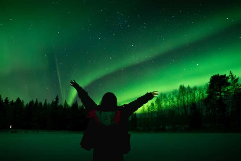 Rovaniemi: Northern Lights Photography Tour & BBQ - Who Will Love This Tour?