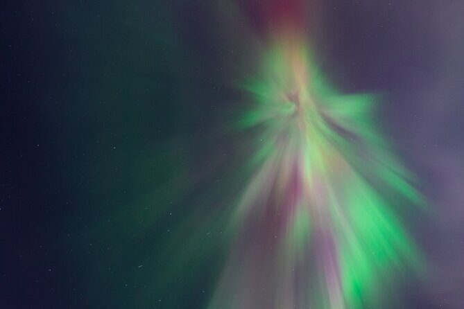 Rovaniemi: Northern Lights Pro Guaranteed - Unlimited (PRIVATE) - The Sum Up