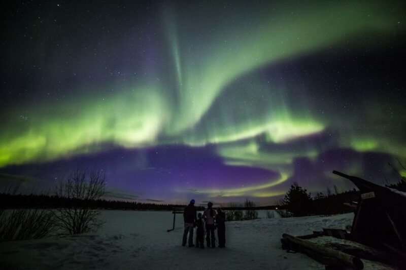 Rovaniemi: Northern Lights Sledge Ride - The Experience in Detail