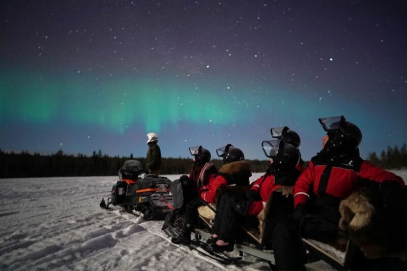 Rovaniemi: Northern Lights Sleigh Ride - An In-Depth Look at the Rovaniemi Northern Lights Sleigh Ride