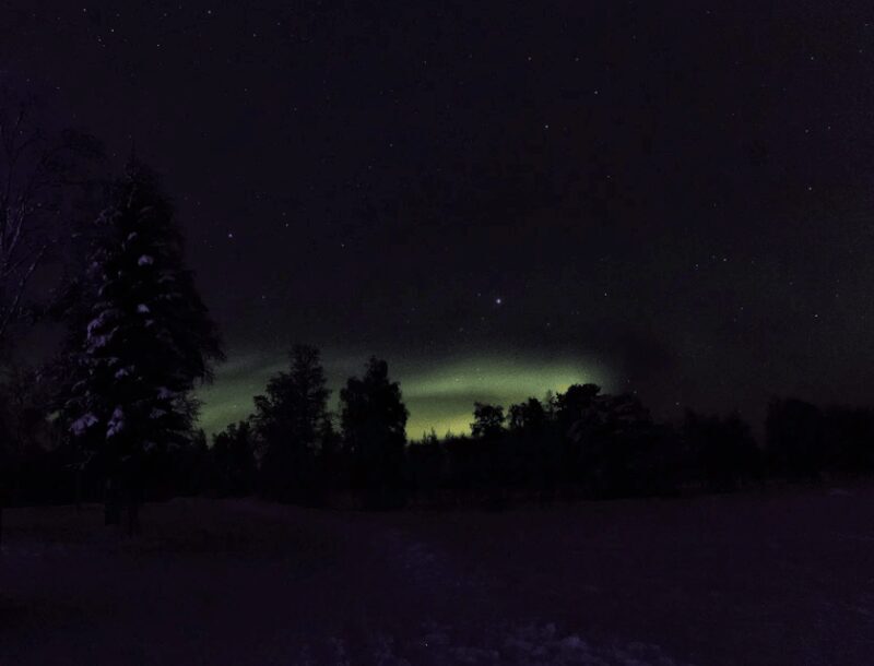 Rovaniemi: Northern Lights Snowmobile Safari with Campfire - Who Will Love This Tour?