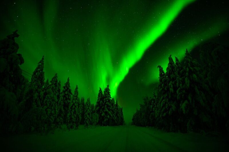 Rovaniemi: Northern Lights Snowmobile Tour - Stops and Scenic Breaks