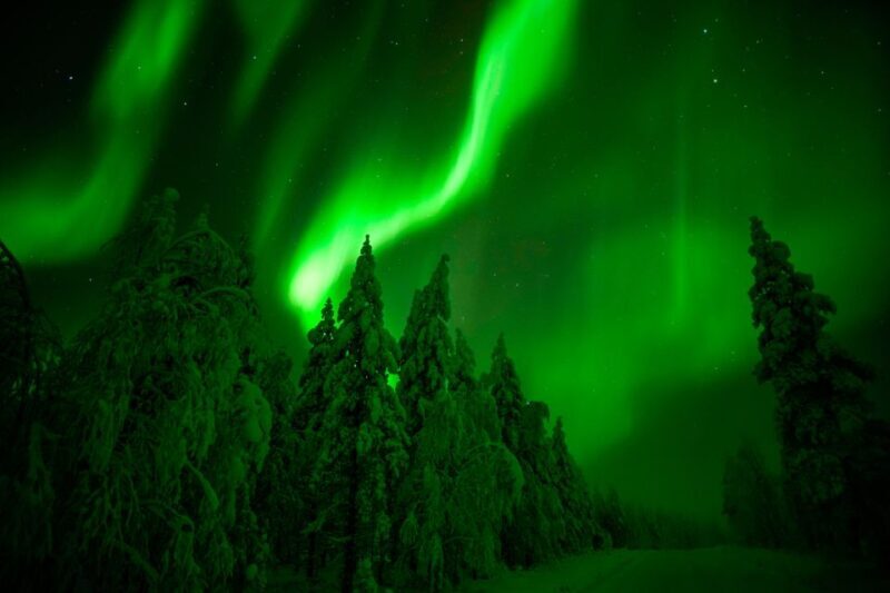 Rovaniemi: Northern Lights Snowmobile Tour - The Overall Experience: Authentic, Scenic, and Exciting