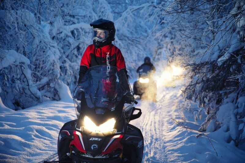 Rovaniemi: Northern Lights Snowmobile Tour - Who Should Consider This Tour?