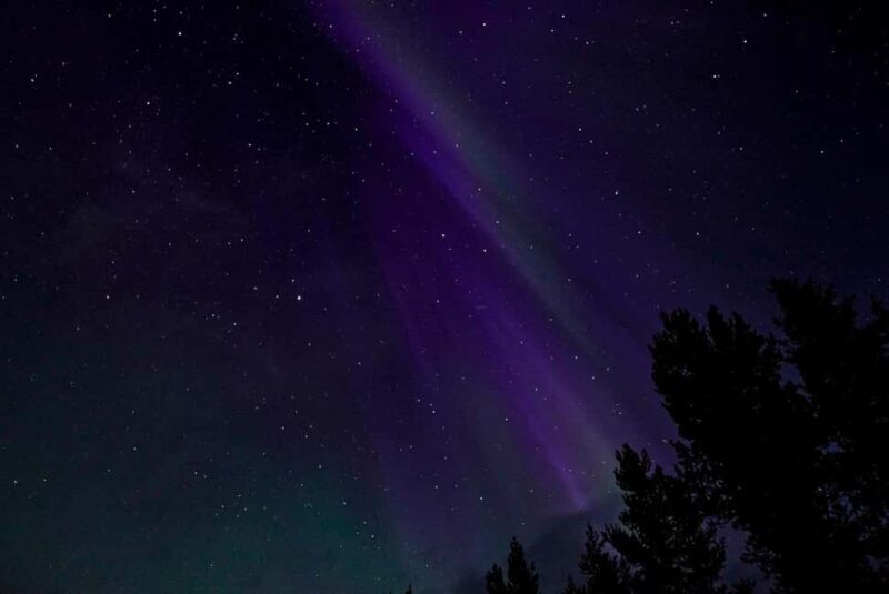 Rovaniemi: Northern Lights Tour - Aurora Viewing Guaranteed - An In-Depth Look at the Northern Lights Tour Experience