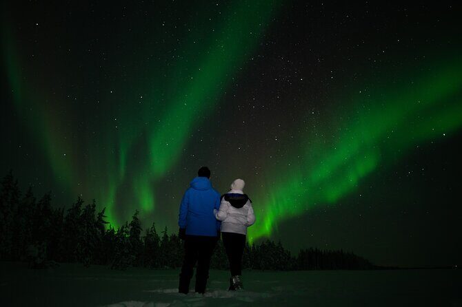 Rovaniemi: Northern Lights Tour - A Deep Dive into the Rovaniemi Northern Lights Tour