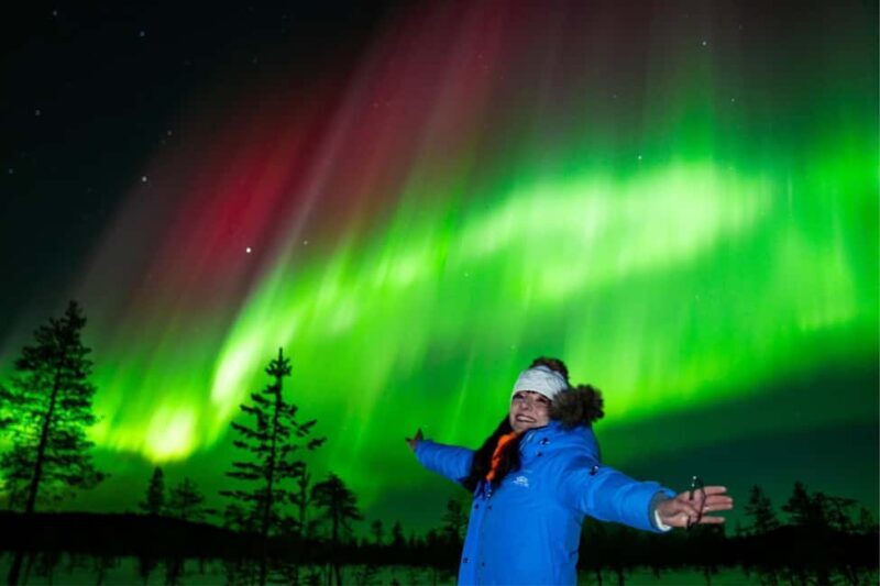 Rovaniemi: Northern Lights Tour with Guaranteed Viewings - What to Expect from This Rovaniemi Northern Lights Tour