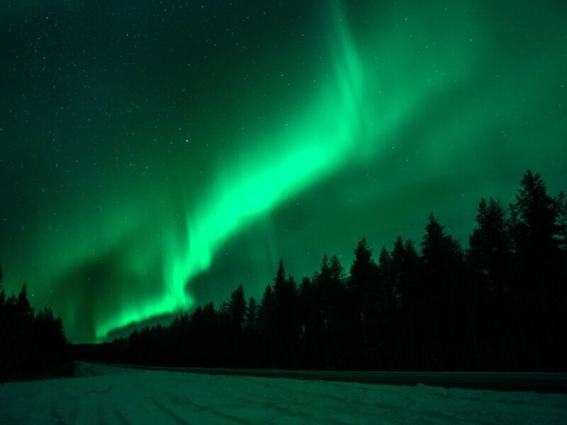 Rovaniemi: Northern Lights Tour with Guaranteed Viewings - Who Should Book This Tour?