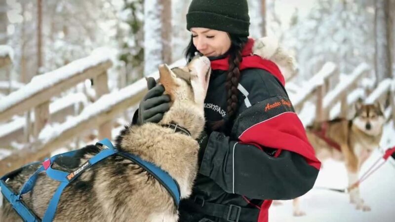 Rovaniemi: One Hour Husky Trip with hotel pick up - Practical Details and Tips