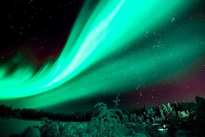 Rovaniemi: Private Aurora Tour with Guaranteed Sightings - Why You Might Want to Book This Tour