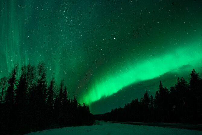 Rovaniemi: Private Aurora Tour with Guaranteed Sightings - Price and Value