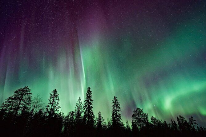Rovaniemi: Private Aurora Tour with Guaranteed Sightings - The Sum Up