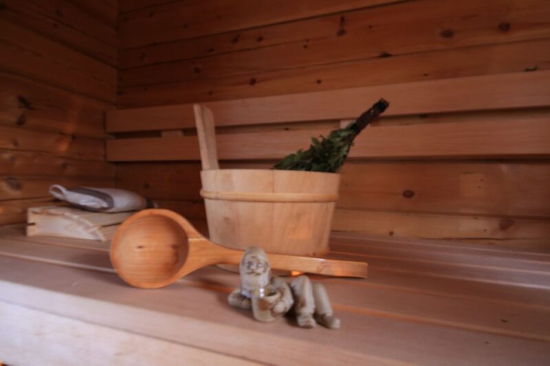 Rovaniemi: Private Sauna, Jacuzzi and Dinner - What Makes This Experience Special?