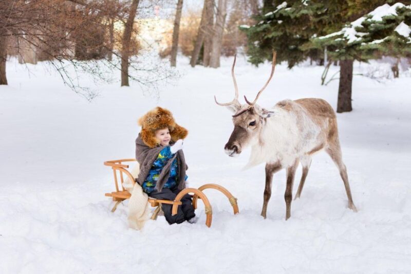 Rovaniemi: Reindeer Farm Tour with Sledge Ride & Pickup - FAQ