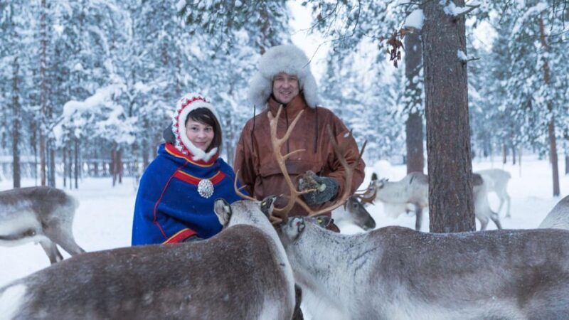 Rovaniemi: Reindeer Farm Visit and Sleigh Ride with transfer - FAQ