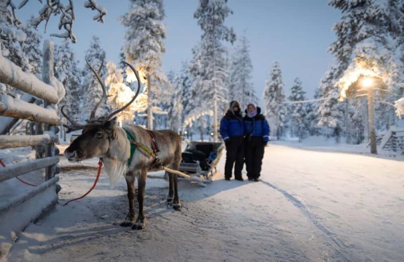 Rovaniemi: Reindeer Farm Visit with Sleigh Ride & Snacks - Key Points