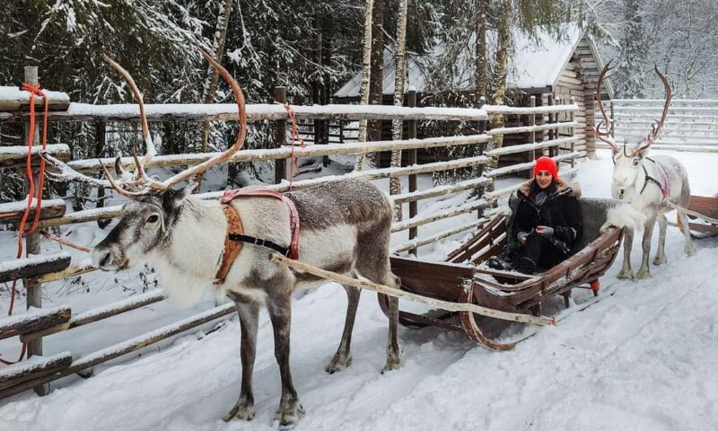 Rovaniemi: Reindeer Farm Visit with Sleigh Ride & Snacks - FAQs