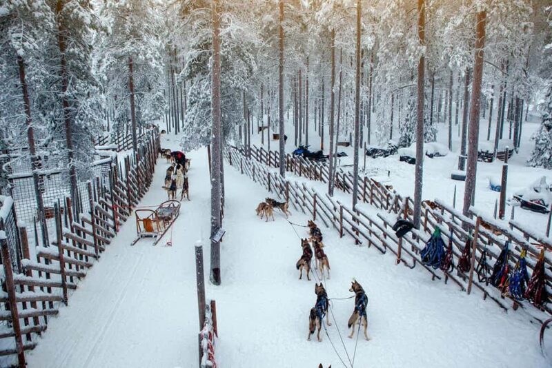 Rovaniemi: Reindeer & Husky Ride with Santa Claus Village - Who Is This Tour Best For?