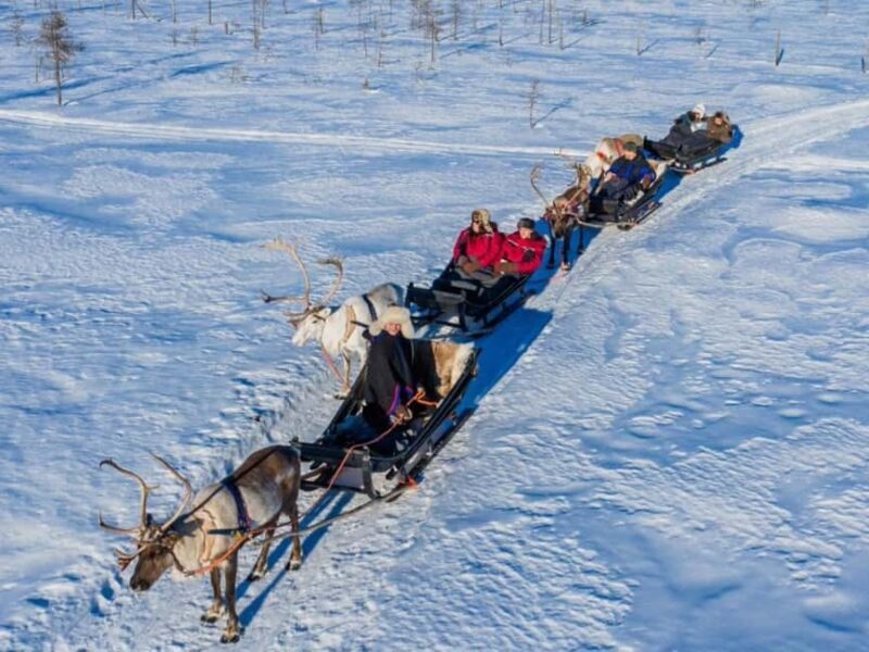 Rovaniemi: Reindeer Safari at 200-Year-Old Farm & Sled Ride - Key Points