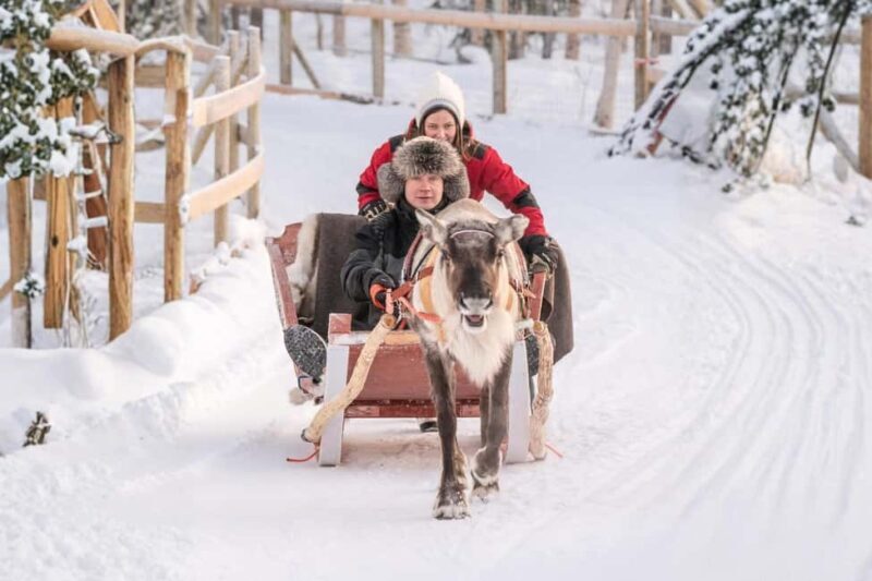 Rovaniemi: Reindeer Safari at 200-Year-Old Farm & Sled Ride - What to Expect from the Reindeer Safari Adventure