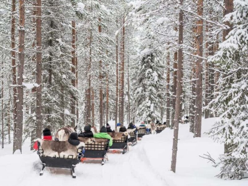 Rovaniemi: Reindeer Safari at 200-Year-Old Farm & Sled Ride - Final Thoughts