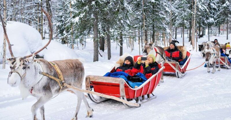 Rovaniemi: Reindeer Sleigh Ride with Hot Drink and Cookies - Who Will Love This Tour?