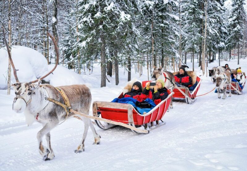 Rovaniemi: Reindeer Sleigh Ride with Hot Drink and Cookies - The Sum Up