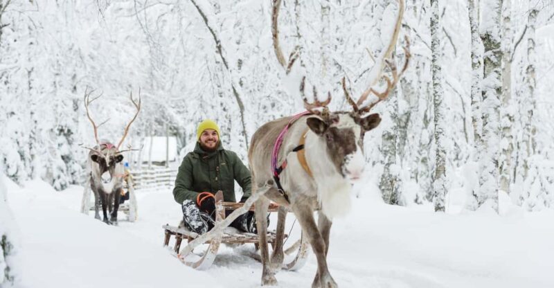 Rovaniemi: Saami Reindeer Farm Visit & Sleigh Ride - What to Expect from the Reindeer Farm & Sleigh Ride Experience