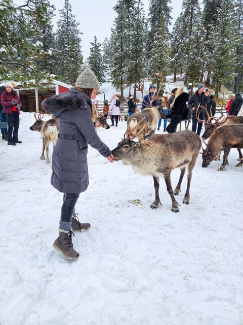 Rovaniemi: Saami Reindeer Farm Visit & Sleigh Ride - FAQ